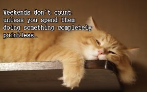 25 Funny Weekend Quotes with Gifs For a Happy Mood - WorthvieW