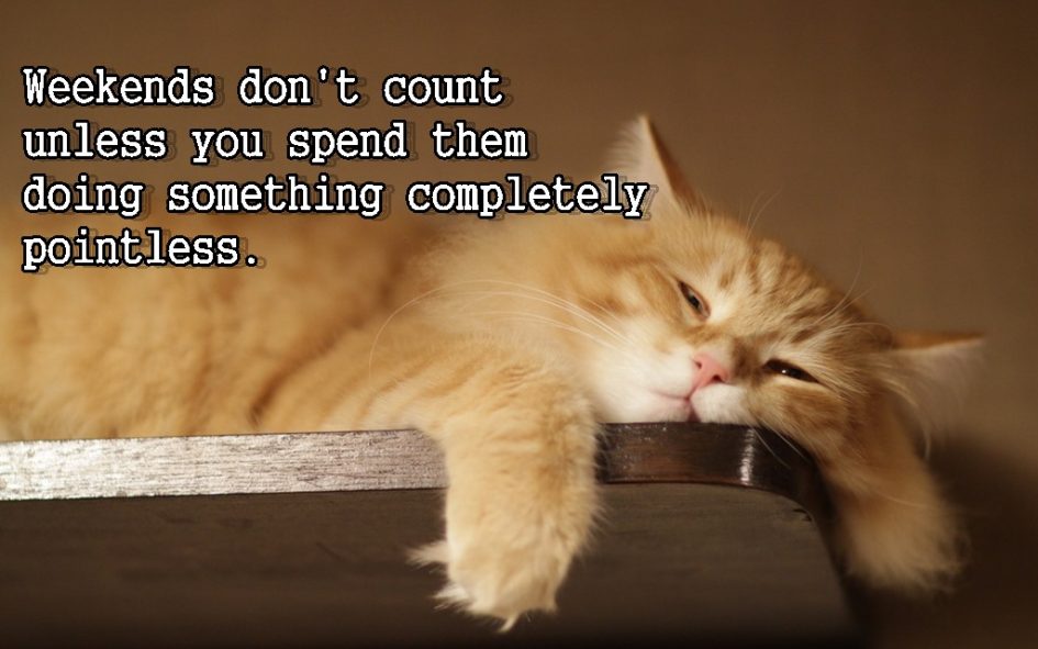 25 Funny Weekend Quotes with Gifs For a Happy Mood - WorthvieW