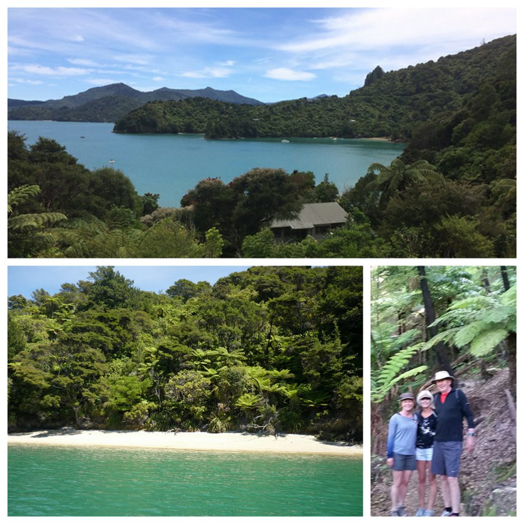 3 Must Do Activities in The Marlborough Sounds - WorthvieW