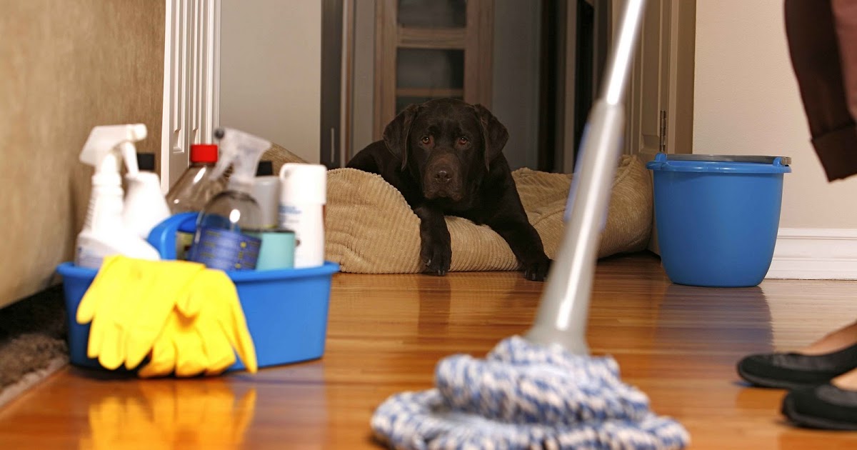 Your Cleanest Home Ever! Our Best Cleaning Advice, Tips & Ideas - WorthvieW