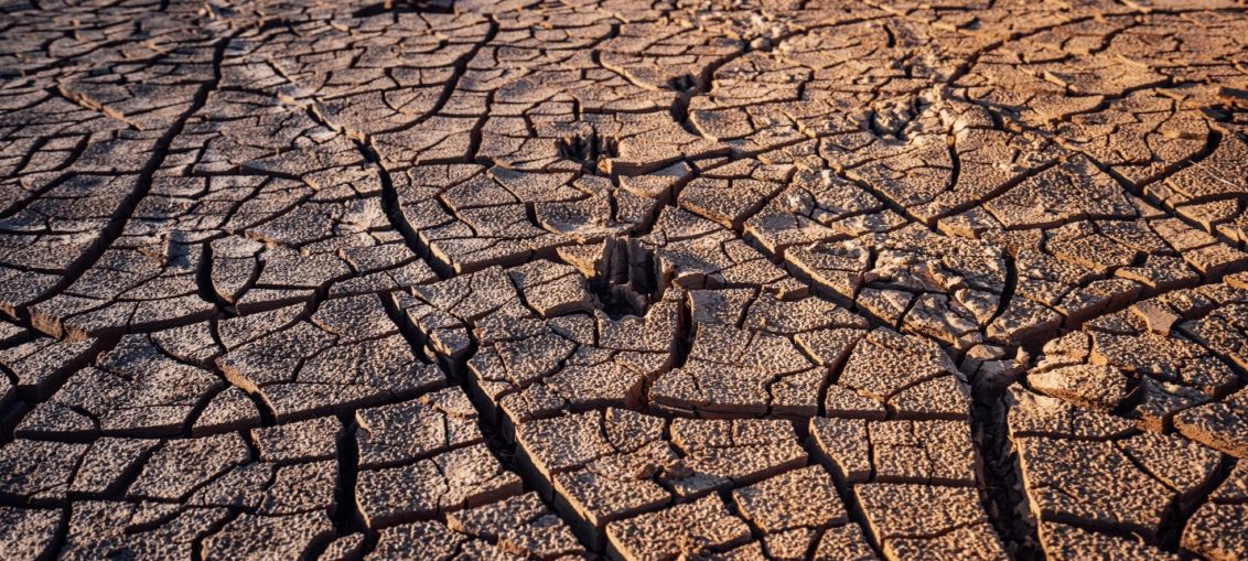 Why is Soil Stabilization Important For New Construction? - WorthvieW