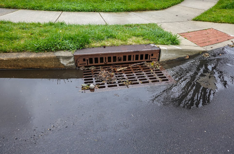 5 Common Signs Of Drainage Problems And How To Fix Them - WorthvieW